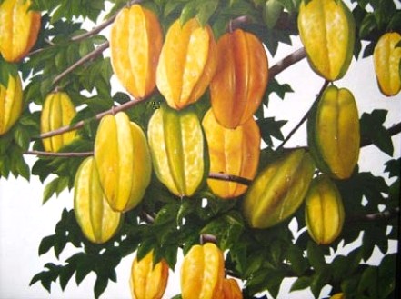 Manfaat Buah Blimbing - Refreshing Area