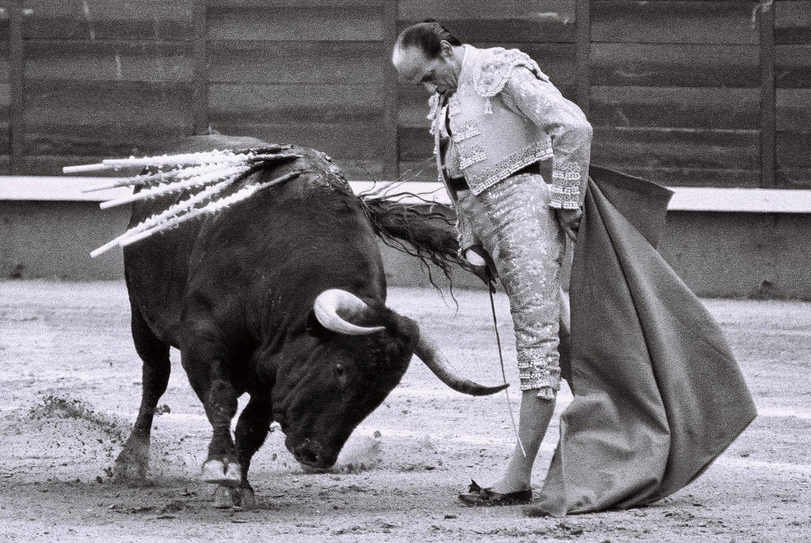 ¿Qué es torear? ~ Descabellos