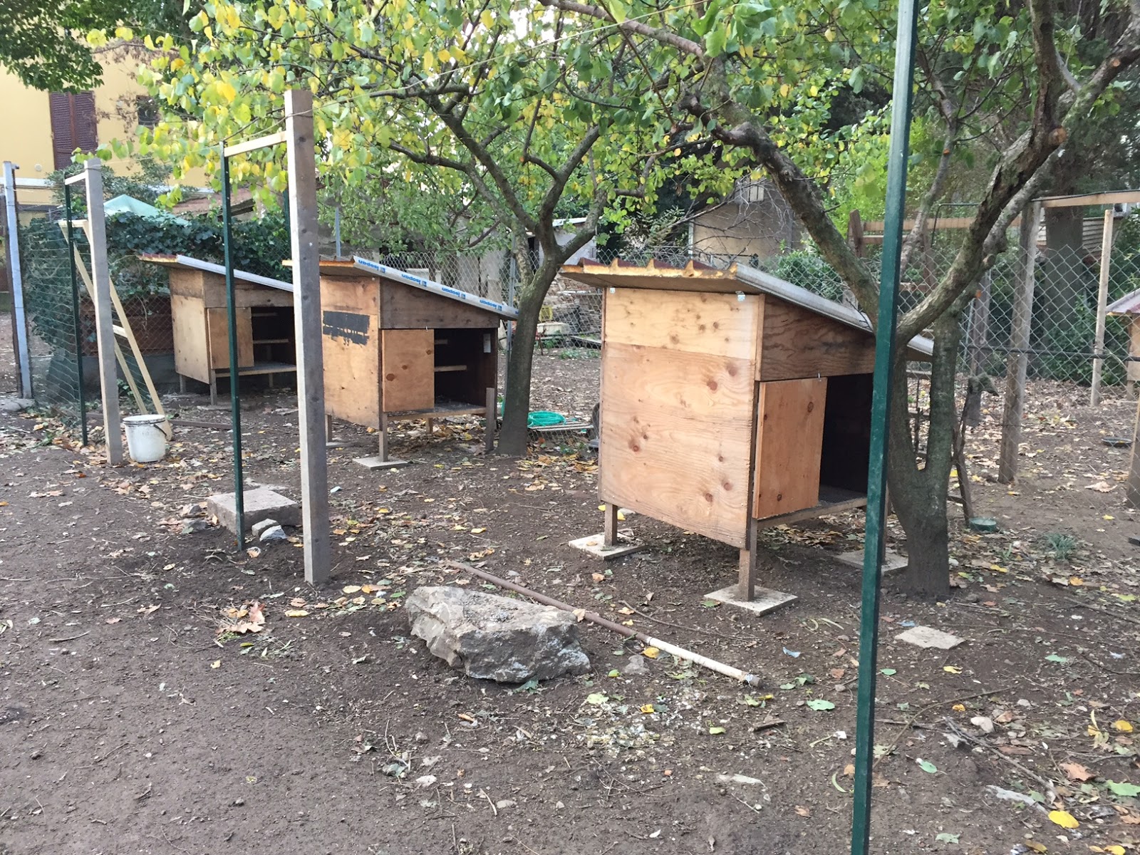 Voli nell'aia: il pollaio