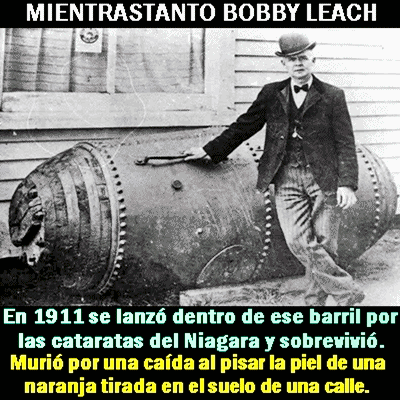 Premios estupidos del ano y fotos meme | Sobaco Global