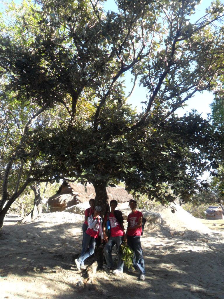 Discover the world with Kanuto: Salt Production of Pasuquin (Iodized Salt)