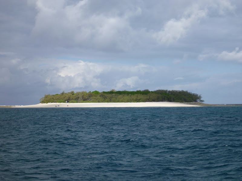 Around the world with Rebecca: Wilson Island, Great Barrier Reef ...