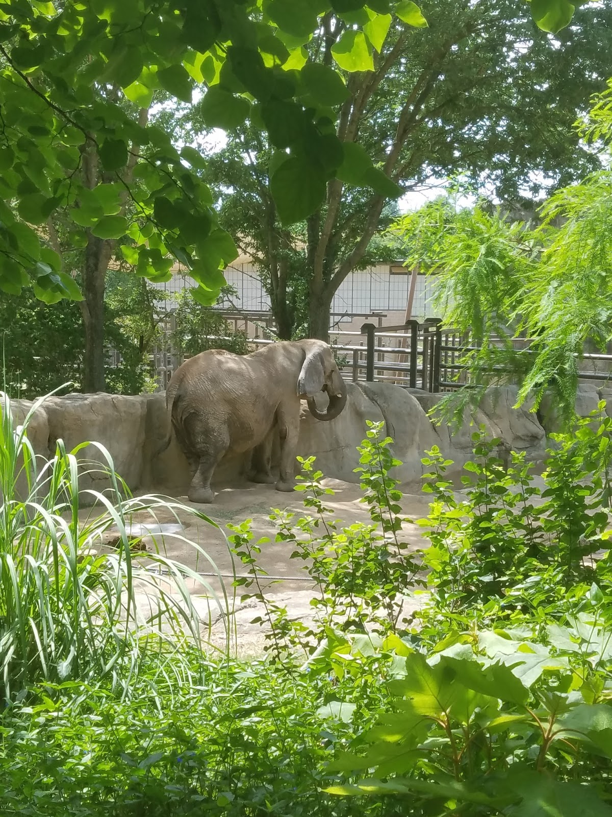 Play St. Louis: Grant's Farm, South St. Louis County