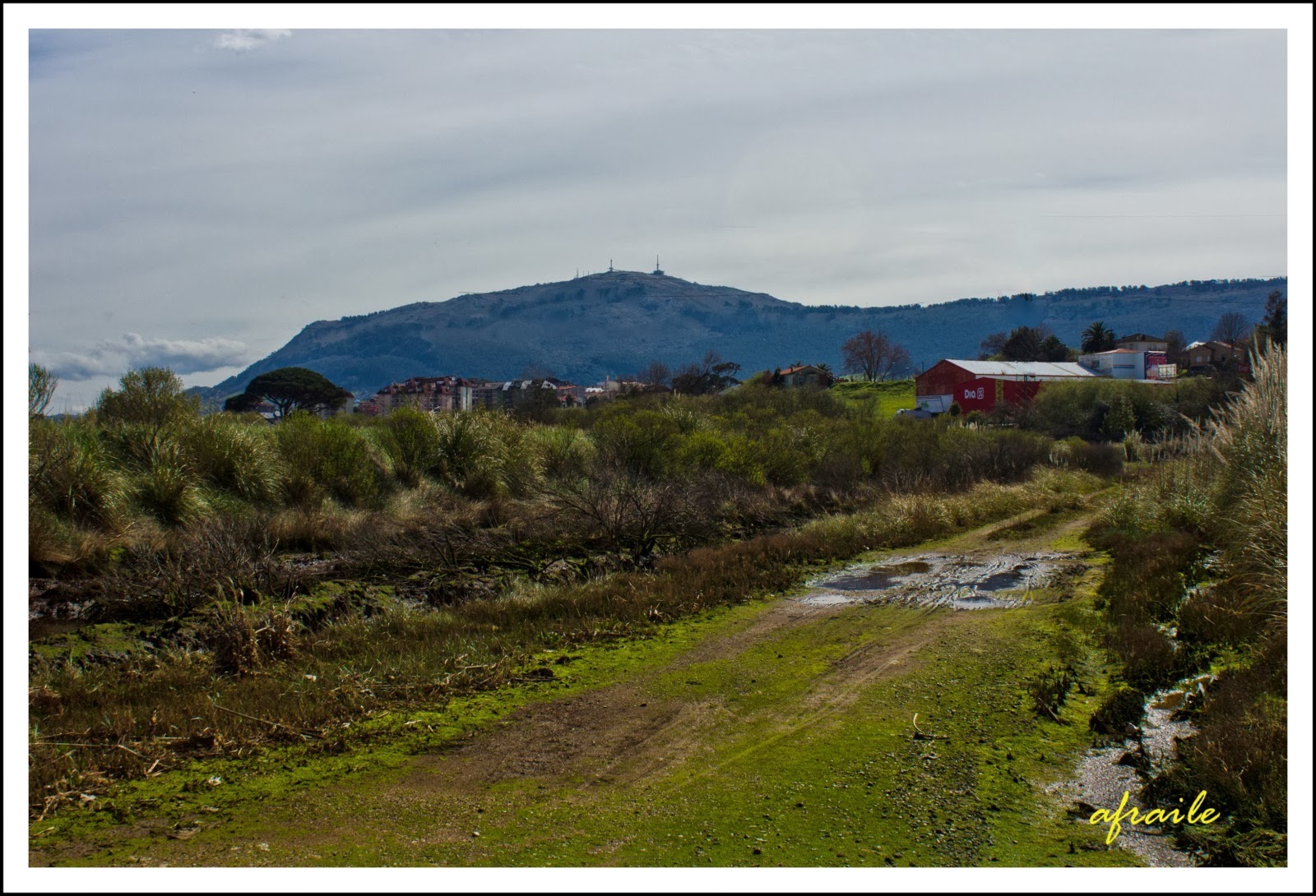 Foto afraile: Guarnizo (El Astillero).