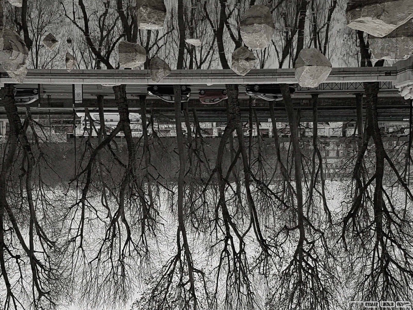 Rabe: FAETÓN Y EL CARRO DEL SOL