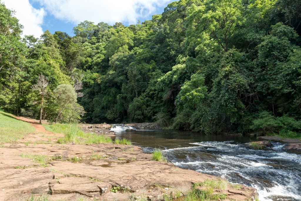 National Park Odyssey: Gardner's Falls, Maleny, QLD.