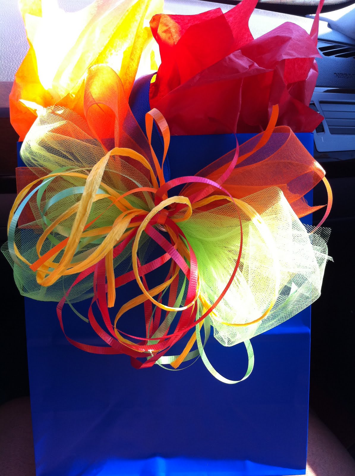 Lizzie Bella: Birthday Party...Rio style!