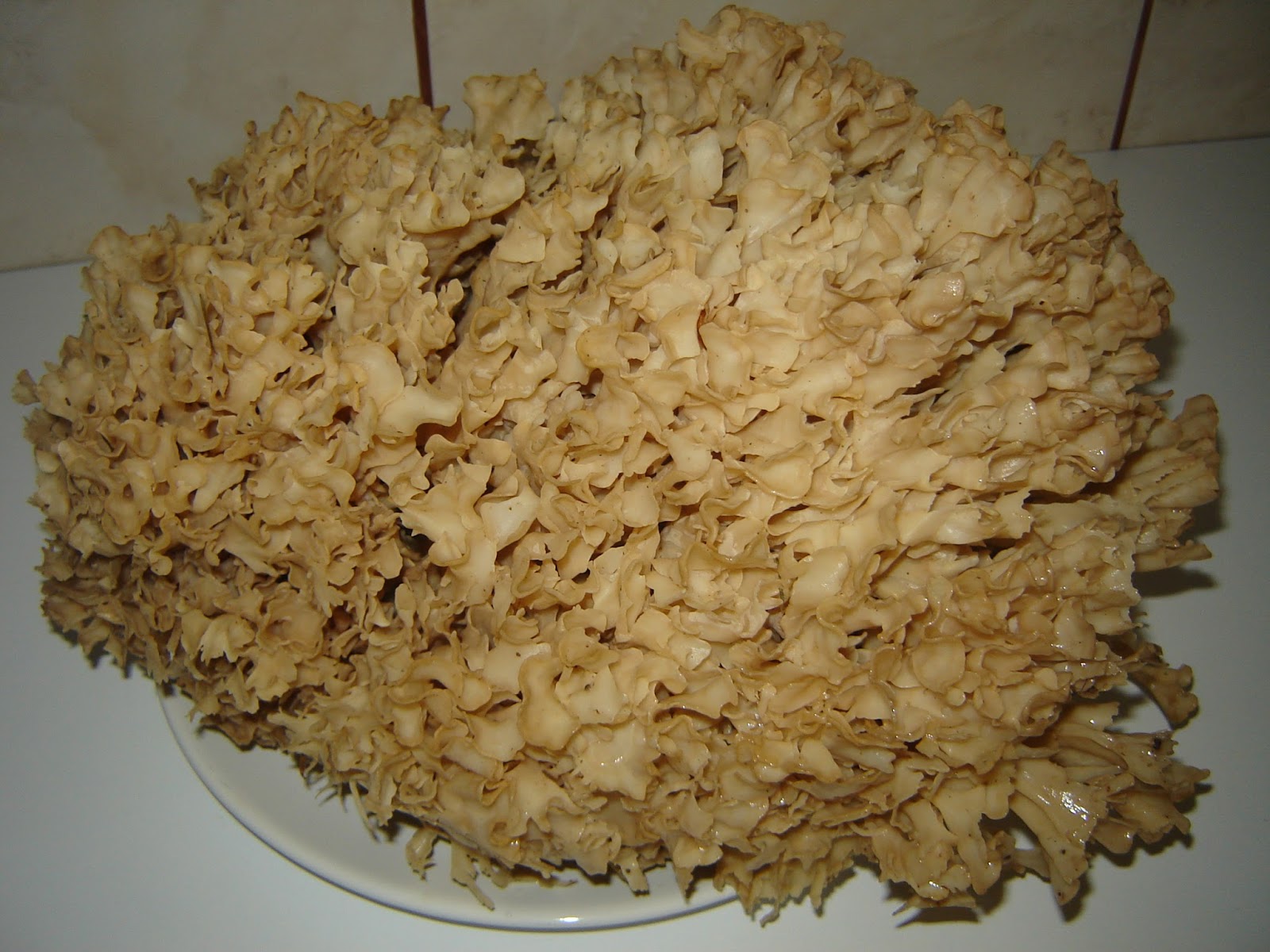 In bucatarie la Janet: Snitel din barba caprei