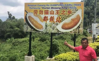 Negara "China" Meneroka Ribuan Hektar Tanah Buka Dusun Durian Musang ...