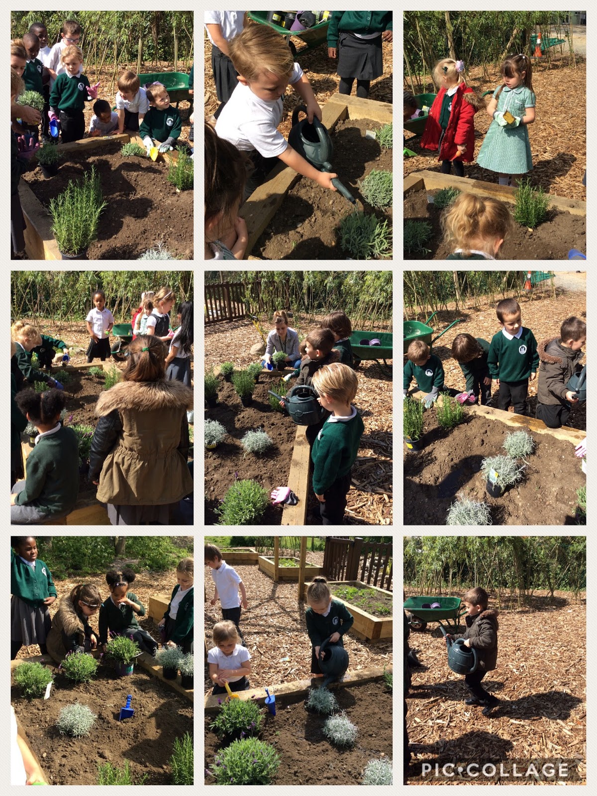 Mead Primary: Gardening to be done in the EYFS Garden