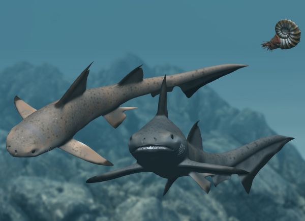 TRIASSIC SHARKS: TIBURONES EN TIERRA FIRME