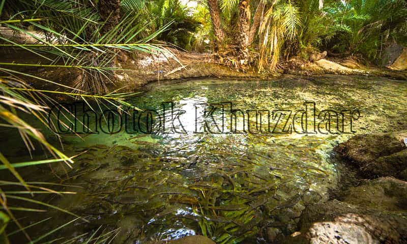 Moola Chotok Khuzdar Balochistan - Speed Bell
