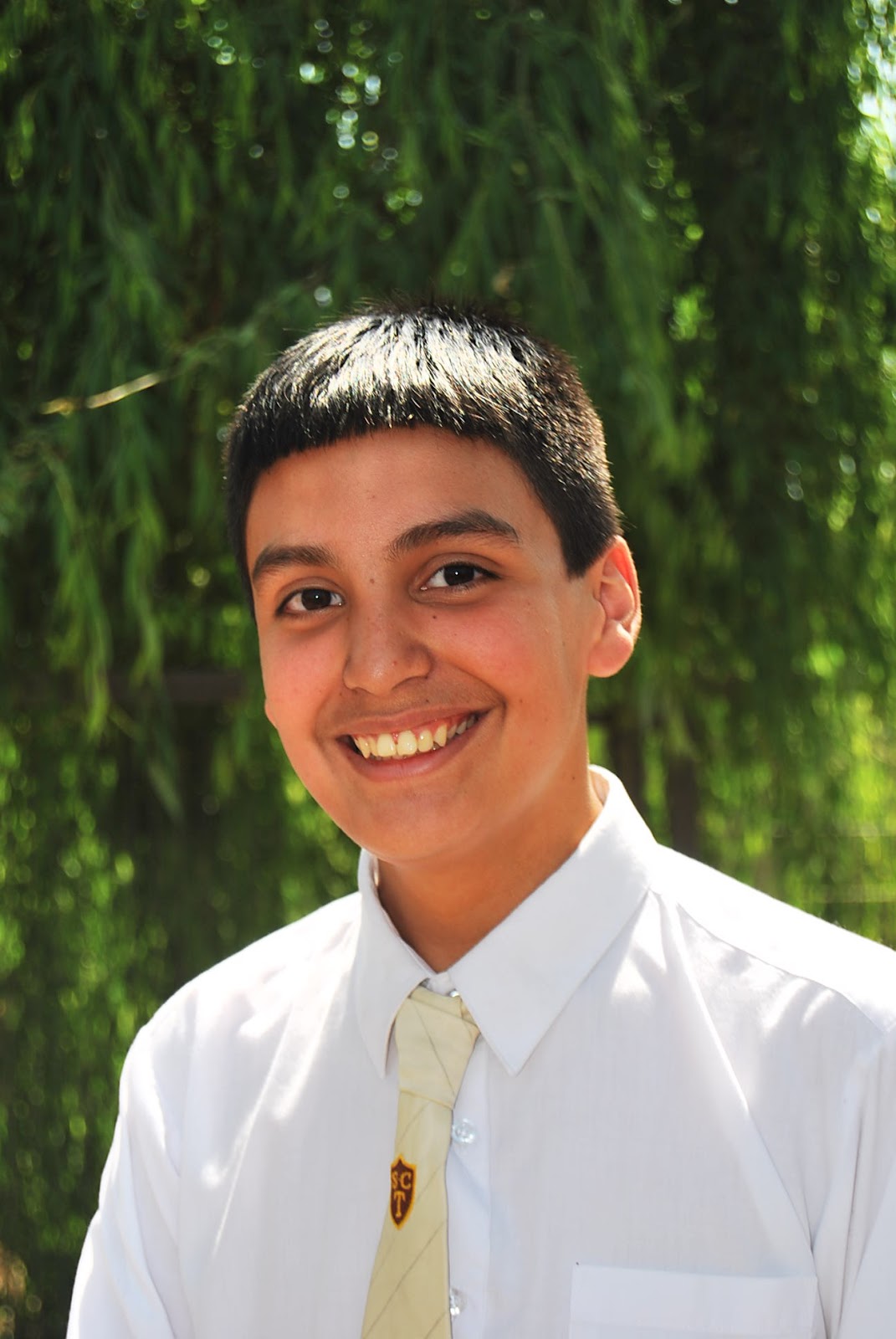 PORQUE UN OSO PANDA ES UN OSO