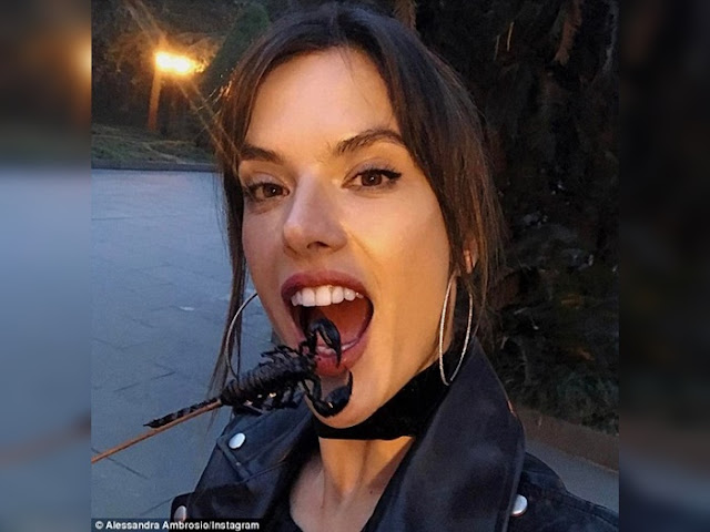 Alessandra Kongsi Foto Makan Kala Jengking Di IG - NORTH BORNEO BLOG