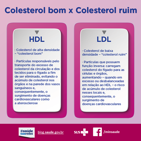 Entenda As Diferenas Entre O Colesterol Bom E Ruim
