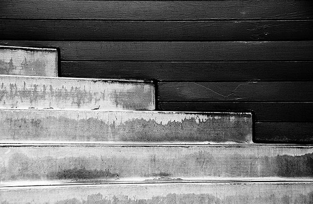 Robyn's Photography #2: Composition in Photography