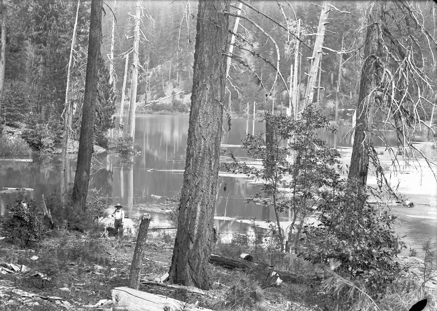 History in Photos: UC Berkeley