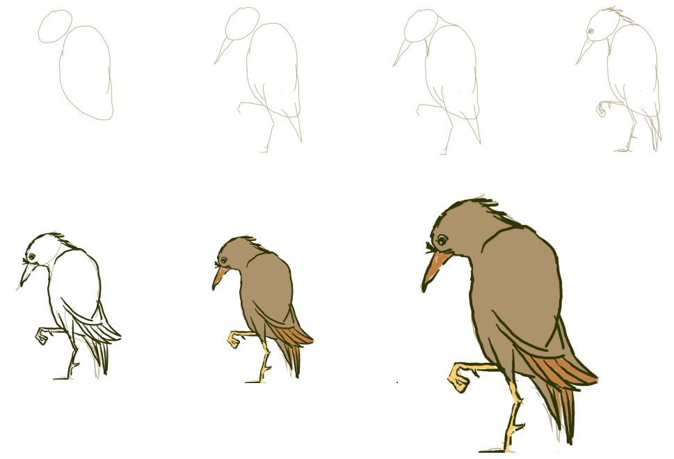 learn to draw blog: Bird