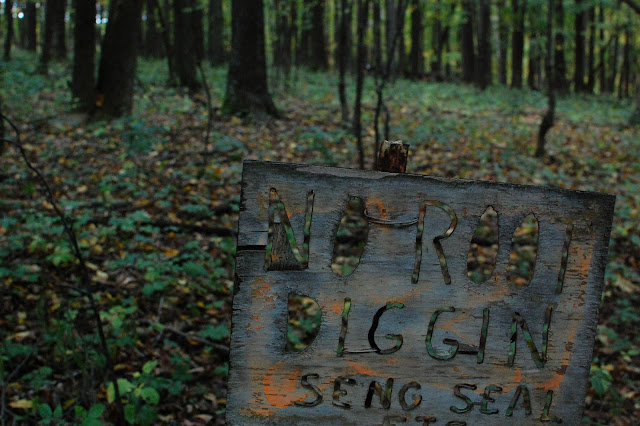 Avalanche Looms: A fairy ring walk
