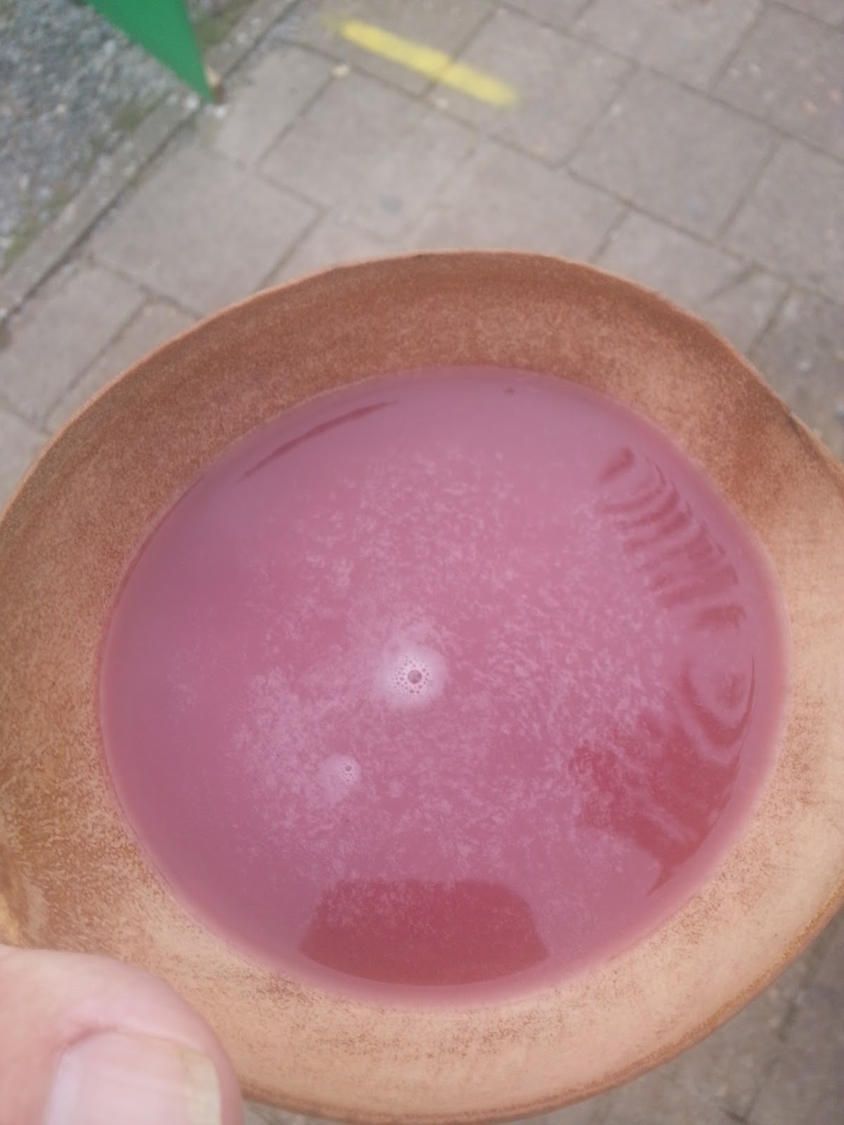 suriname: Dag der Inheemsen