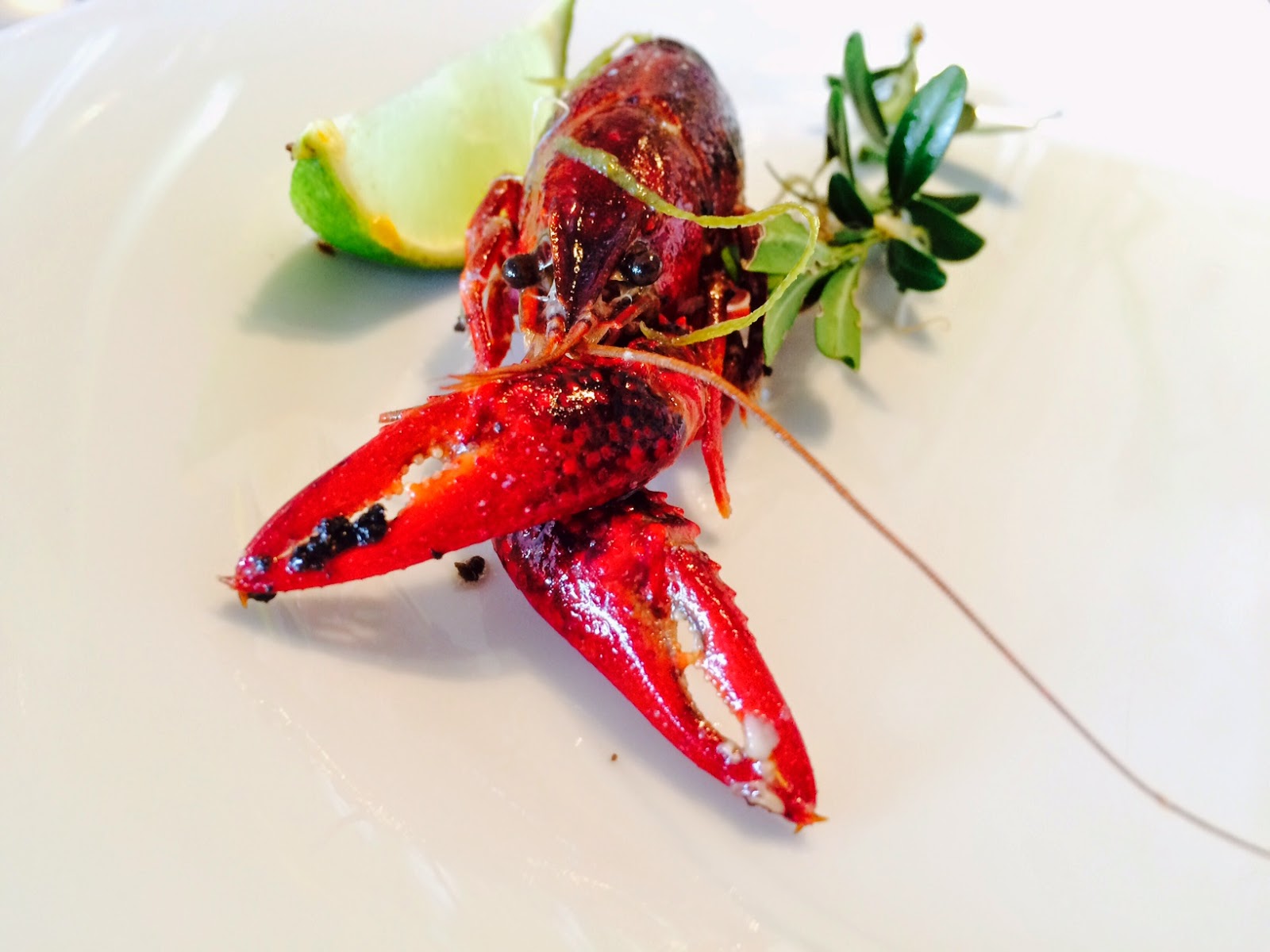 Ryby i raki | On Egin Eta Topa