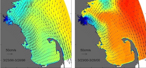 Harbor Watch: Measuring Salinity of Seawater