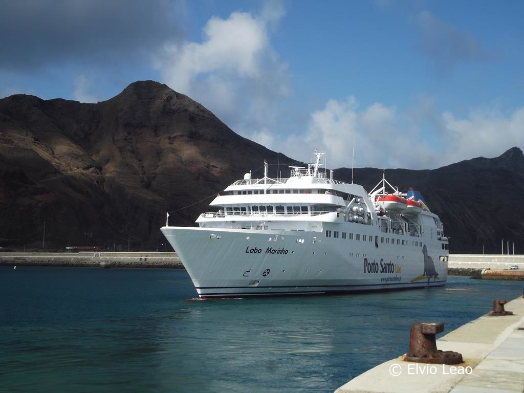 O Mar do Porto Santo: Lobo Marinho com horário de Inverno