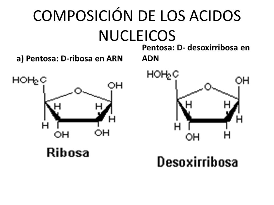 TiC_Educacion_Panama: Estructura del ADN