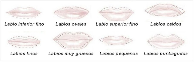 Tipos de labios - Imagui