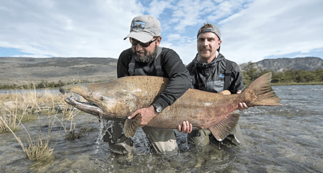 International Fishing News: PATAGONIA: record giant size coho salmon caught