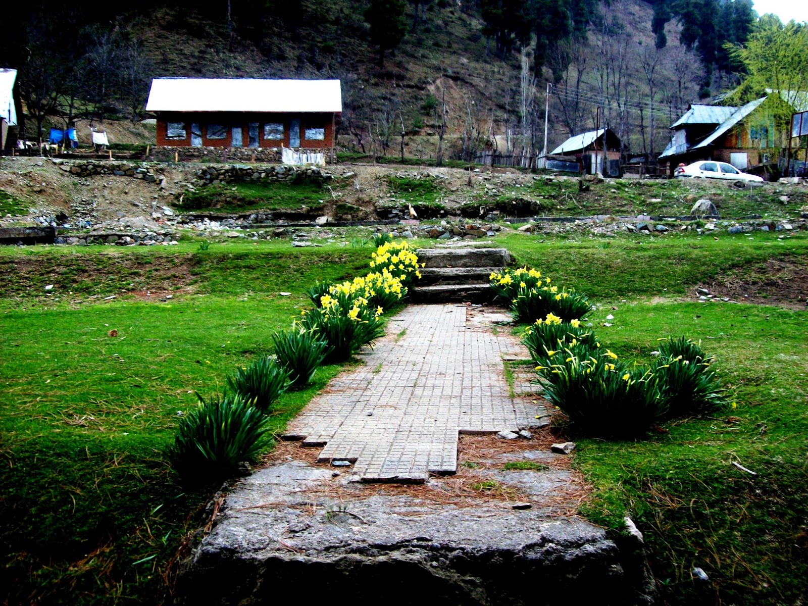 CHINAR SHADE : DAKSUM :A HILL RESORT ON ANANTNAAG -- KISHTWAR ROAD IN ...