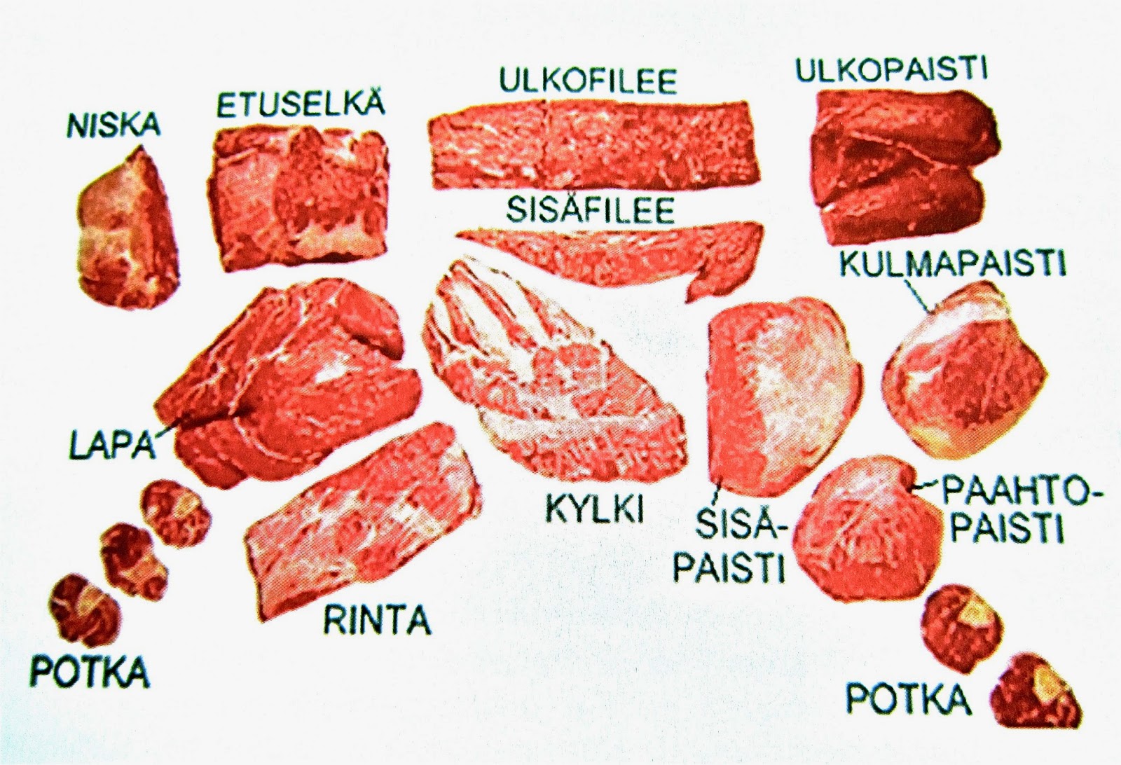 KOTIKOKISTA AMMATTILAISEKSI: LIHAKOULUN LYHYT OPPIMÄÄRÄ