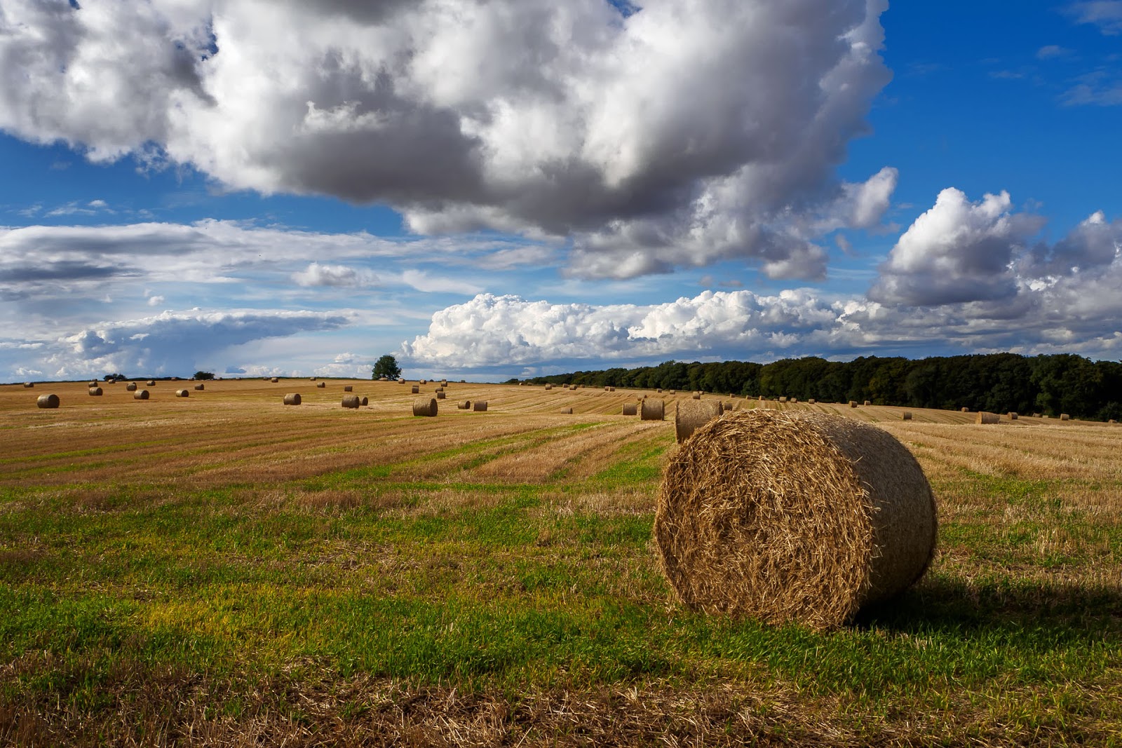 Lincolnshire Cam: Views over the Lincolnshire Wolds.