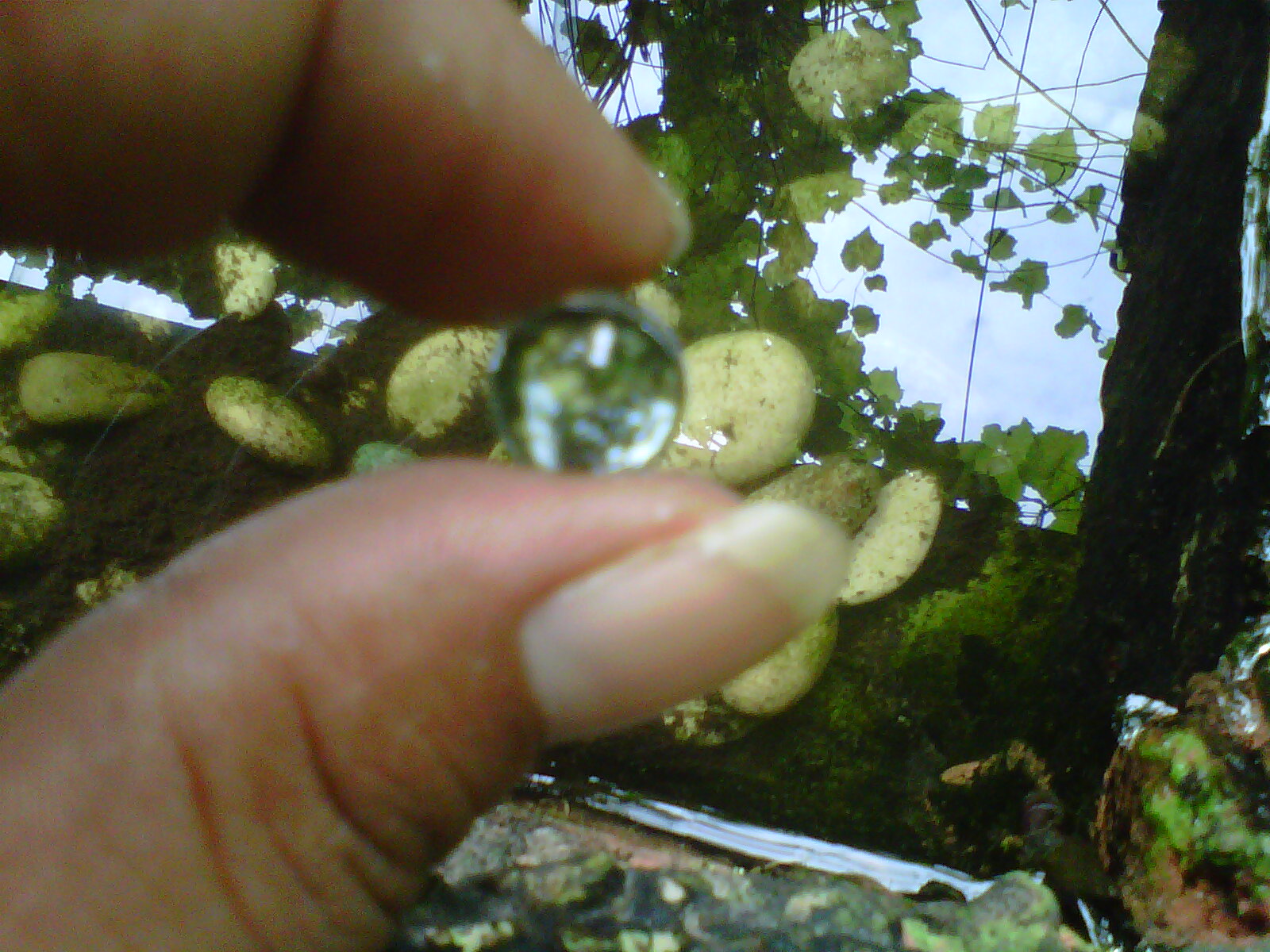 13. DI MAHARKAN MUSTIKA AIR (ASLI ALAMI) SPIRITUAL DAHSYAT ~ gambar ...