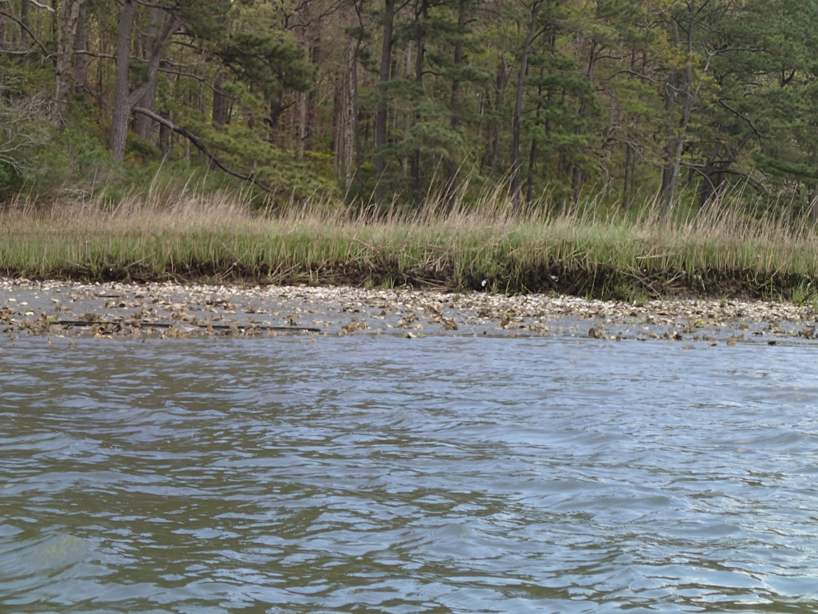 Sun Fishin': First Time at Rudee Inlet