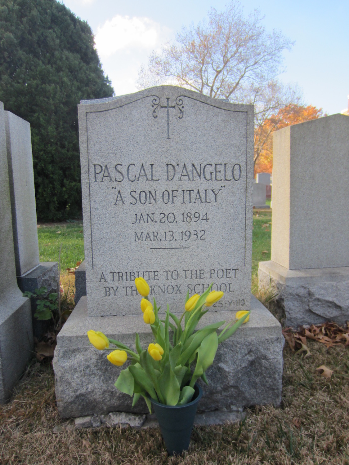 FORTE E GENTILE: The Dreamlife of Pascal D’Angelo