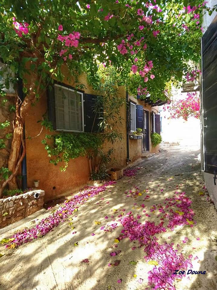 Homo Universalis: ΓΑΛΑΞΕΙΔΙ - ΦΩΤΟΓΡΑΦΙΚΟ ΑΛΜΠΟΥΜ ΤΗΣ ΖΩΗΣ ΔΟΥΝΑ