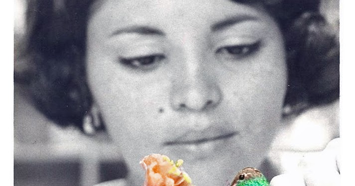 Brownsville Station: 1969 ~ Beauty and the Bird (Janie G. Tejada)