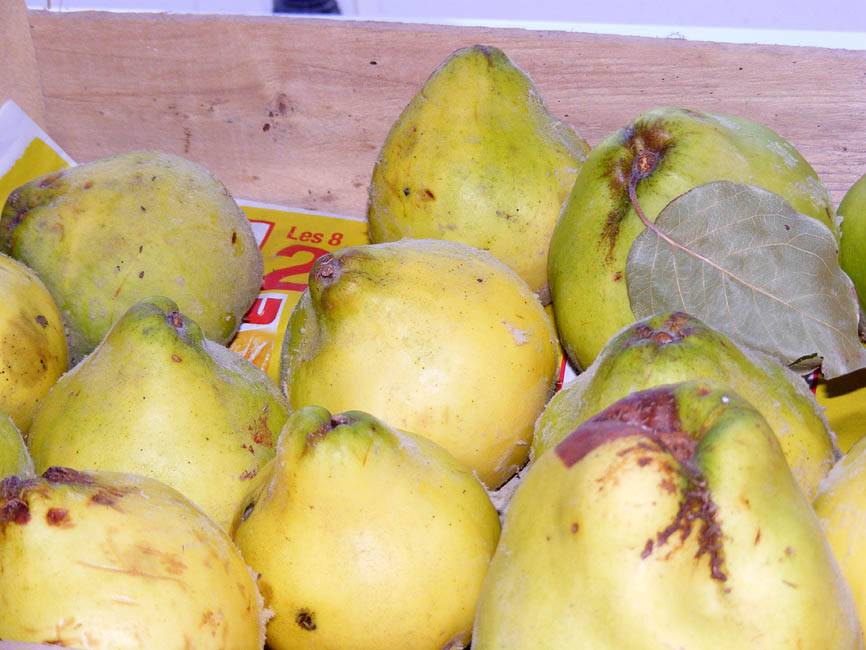 Days on the Claise: Quince Jelly