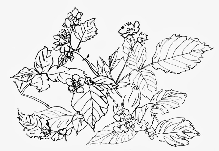 Laëtitia Locteau: 03/01/2014 - 04/01/2014