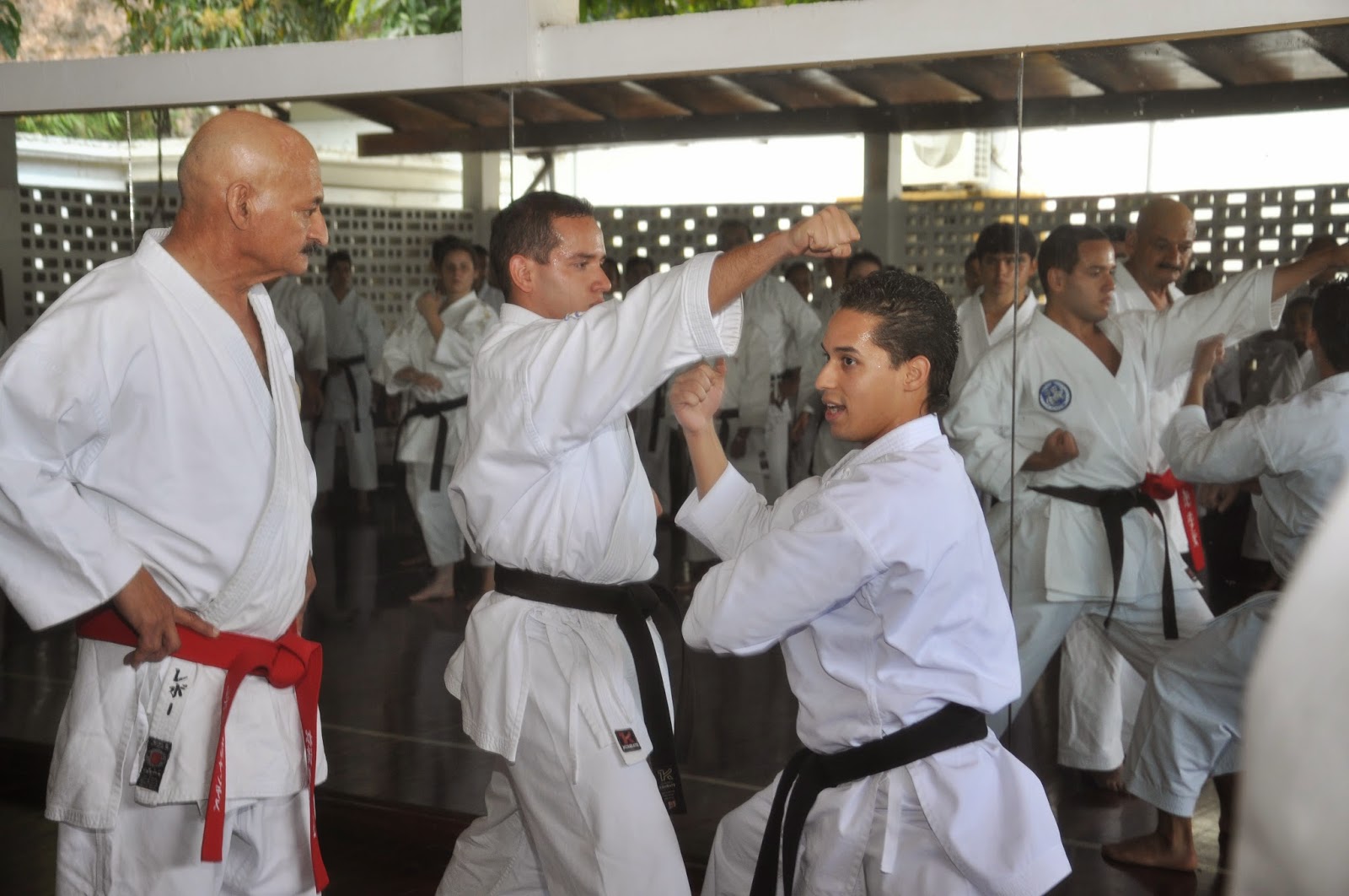 CLUB DE KARATE-DO "ERSKV": SEMINARIOS
