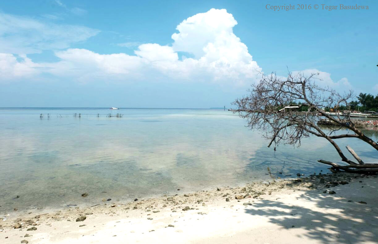 Indie Backpacker: [Jakarta] Liburan Kilat ala Pulau Pari, Kepulauan Seribu