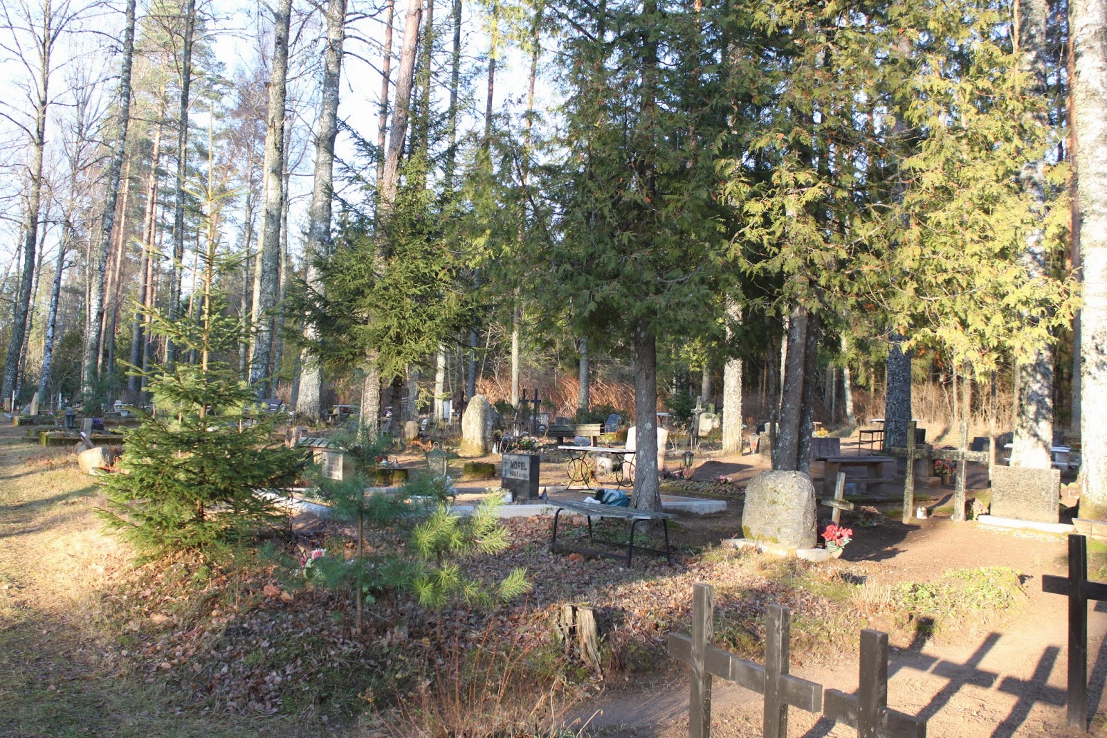 Vaskna Turismitalu: HINGEDEKUU SURNUAED