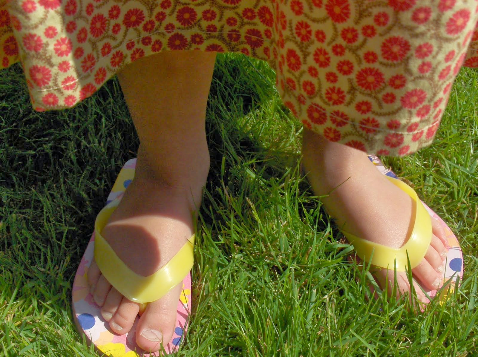 Pool Purrs: FLIP FLOPS