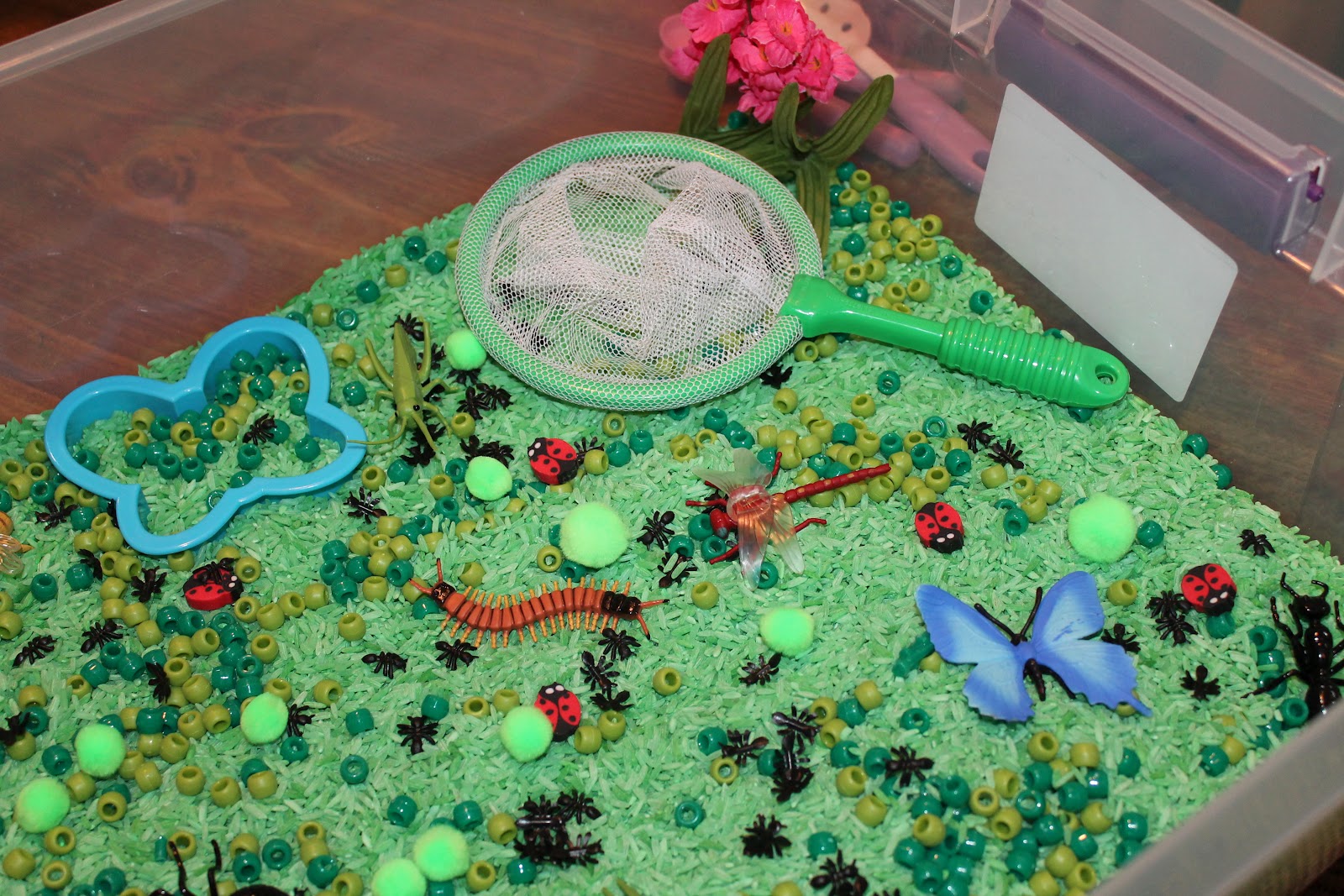 Belle's Butterfly Dreams: Bug Sensory Tub