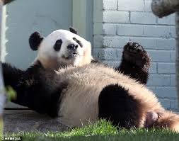 Important Names ‘Oruko amutorunwa’ and Oriki in Yoruba land. - Safe ...