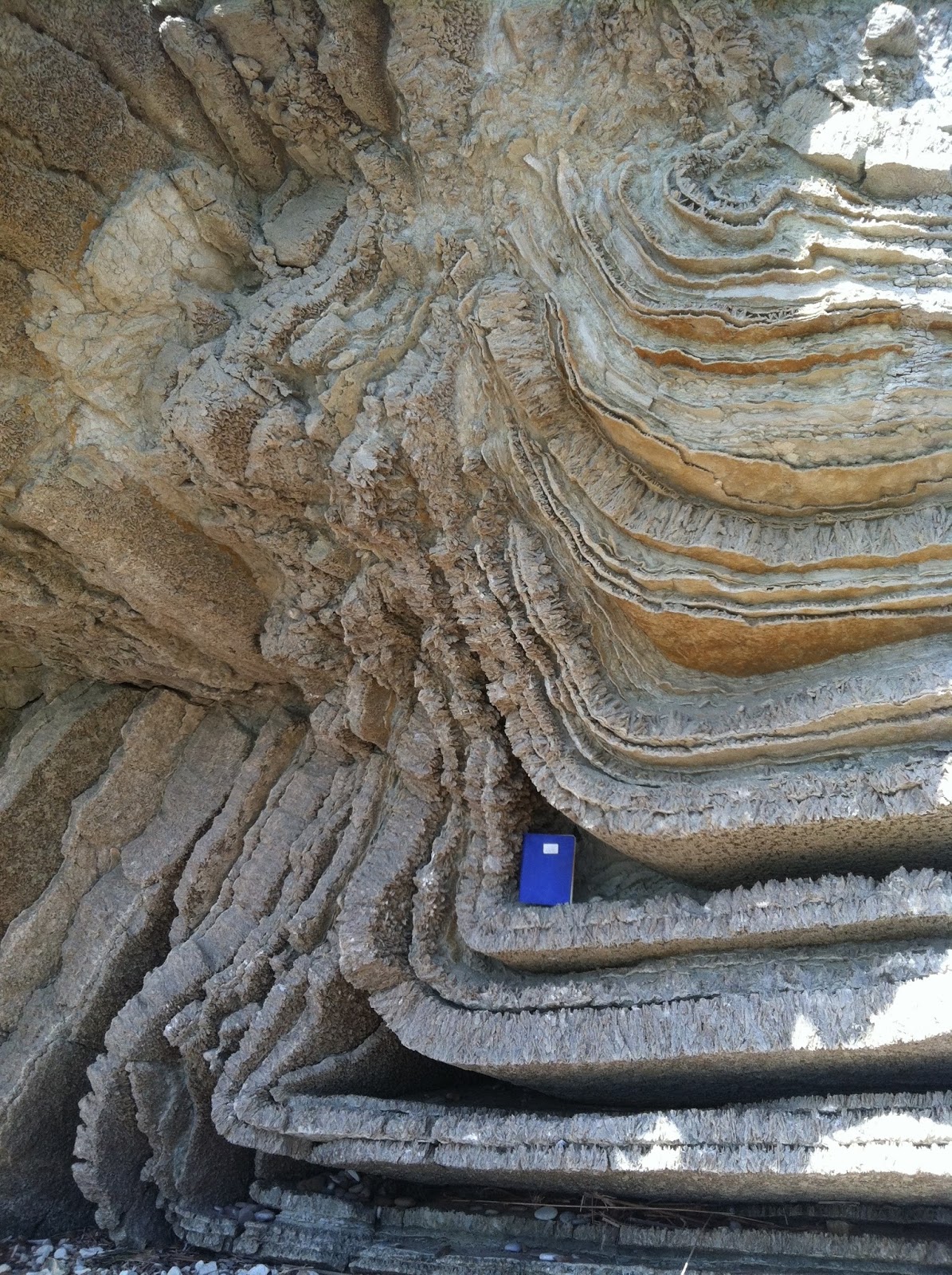 Learning Geology: The Messinian Salinity Crisis