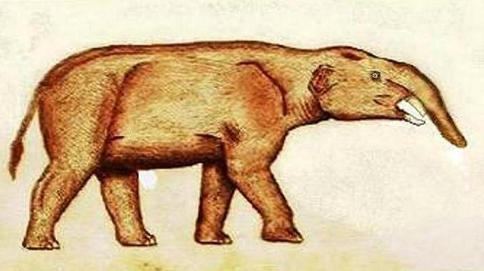 Rudyn's extinct wishlist:More ice age animals - Page 2 - The ZT2 Round ...