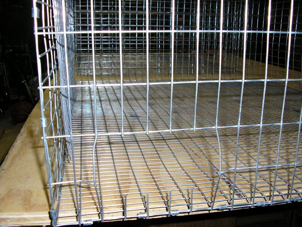 Shaktopia: How to build a rabbit cage