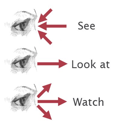 English Exercises: Difference between 'look', 'see' and 'watch'